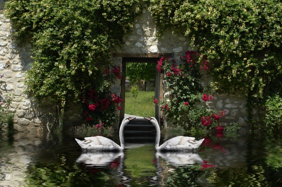 Discover the Secret Gardens of Venice