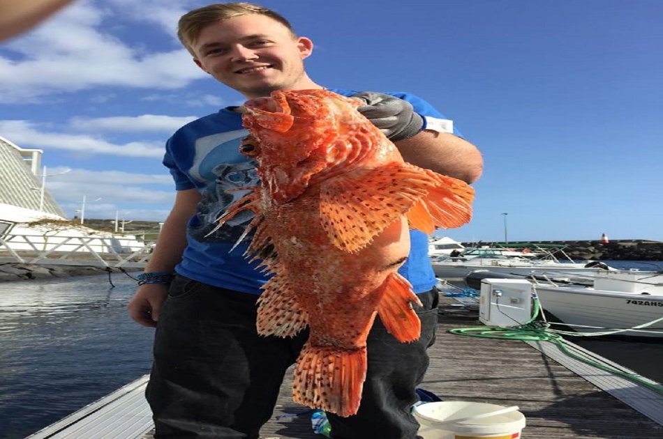 Land & Ocean (Fish for Your Own Lunch and Private Jeep Tour) in the Azores