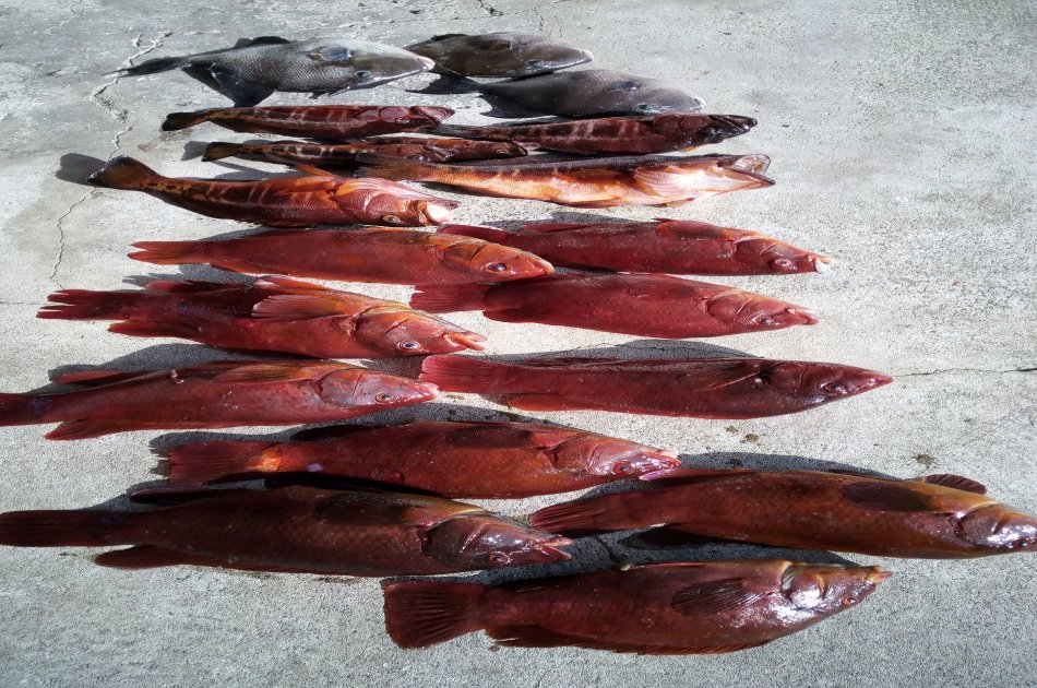 Land & Ocean (Fish for Your Own Lunch and Private Jeep Tour) in the Azores